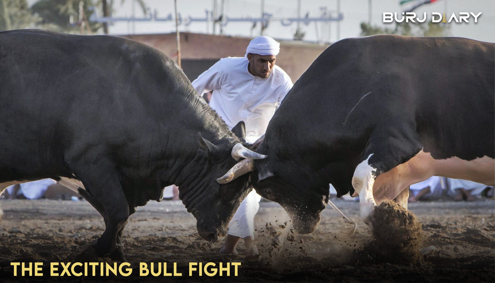 13 Places to Visit in Fujairah - Tourists Guide Fujairah