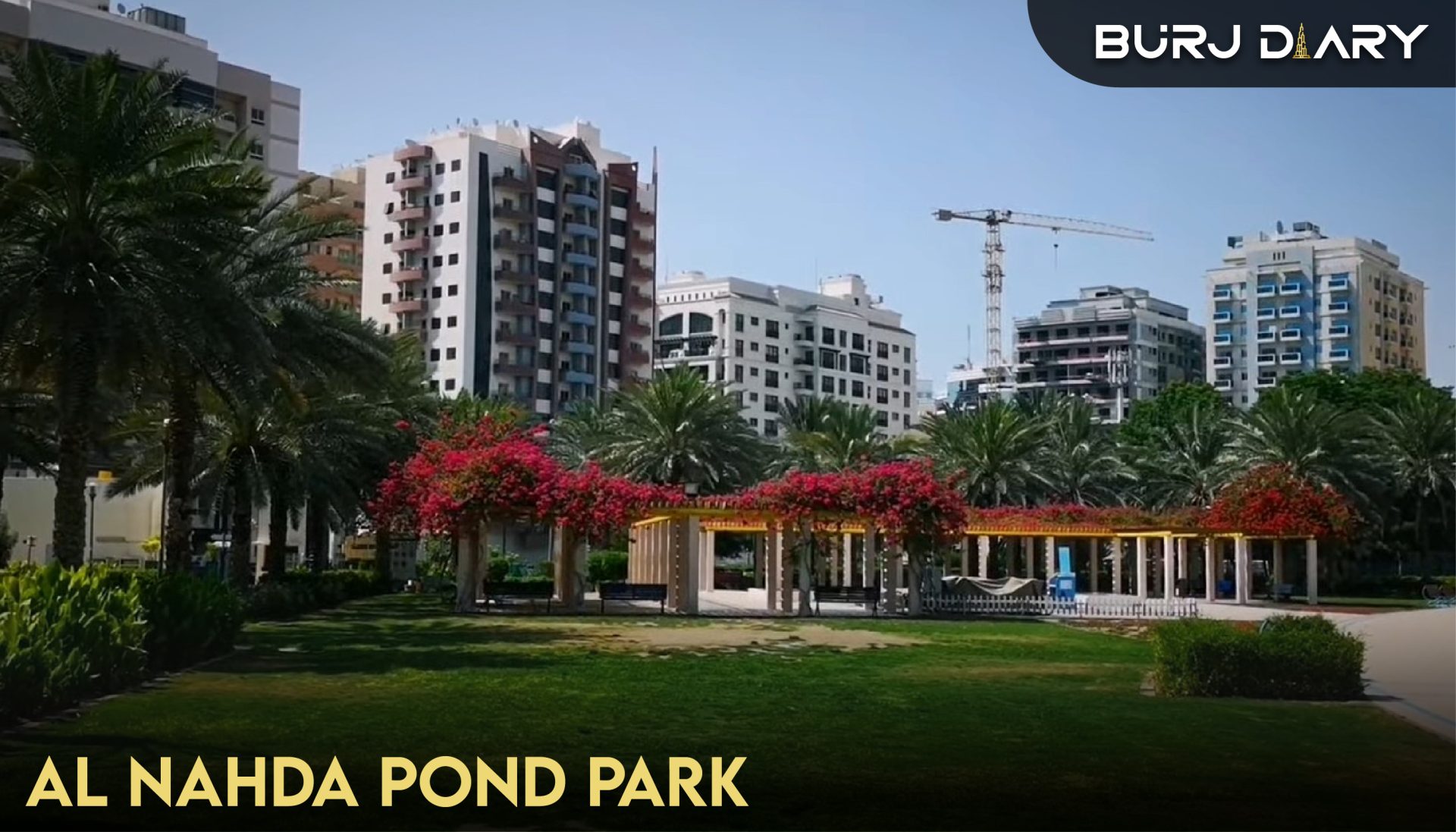 9 Fun Things to Do in Al Nahda Pond Park Dubai
