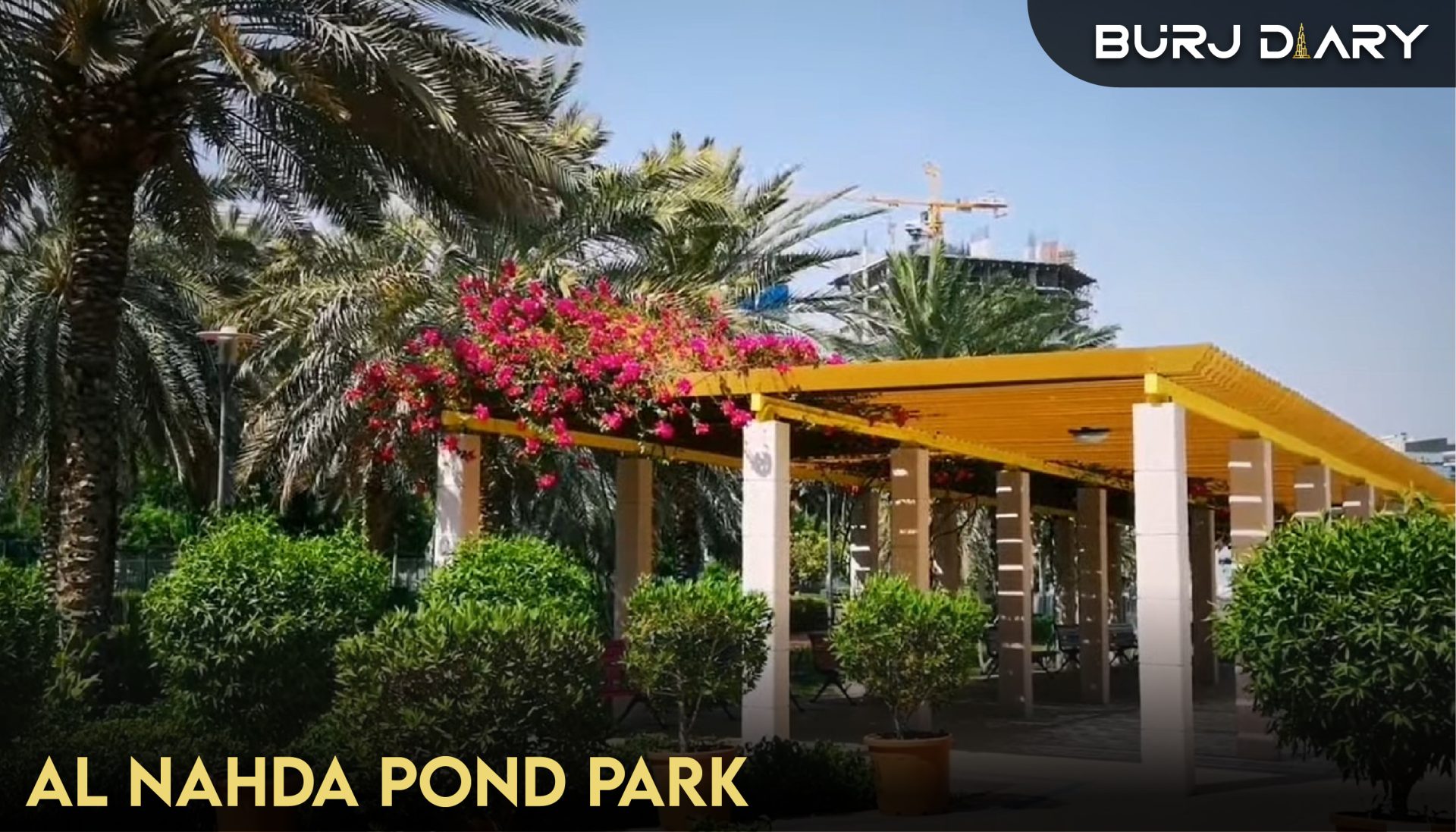 9 Fun Things to Do in Al Nahda Pond Park Dubai