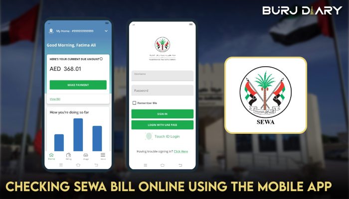 SEWA Bill Check: How to Check and Pay Online - Burj Diary