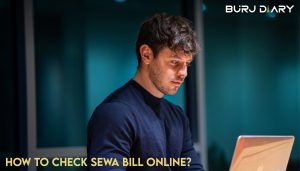 SEWA Bill Check: How to Check and Pay Online - Burj Diary